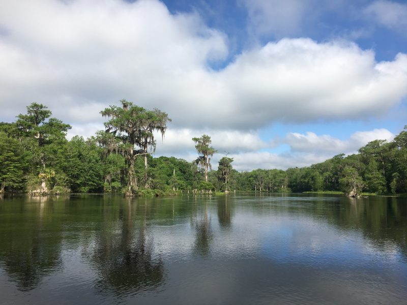 The Maps – Wakulla Betrayal